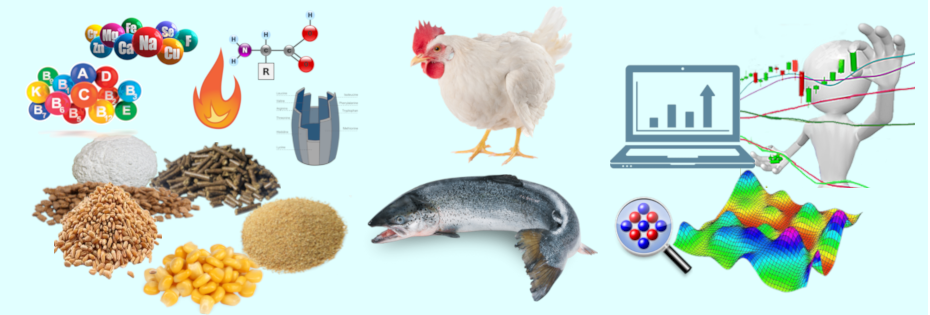 online feed formulation